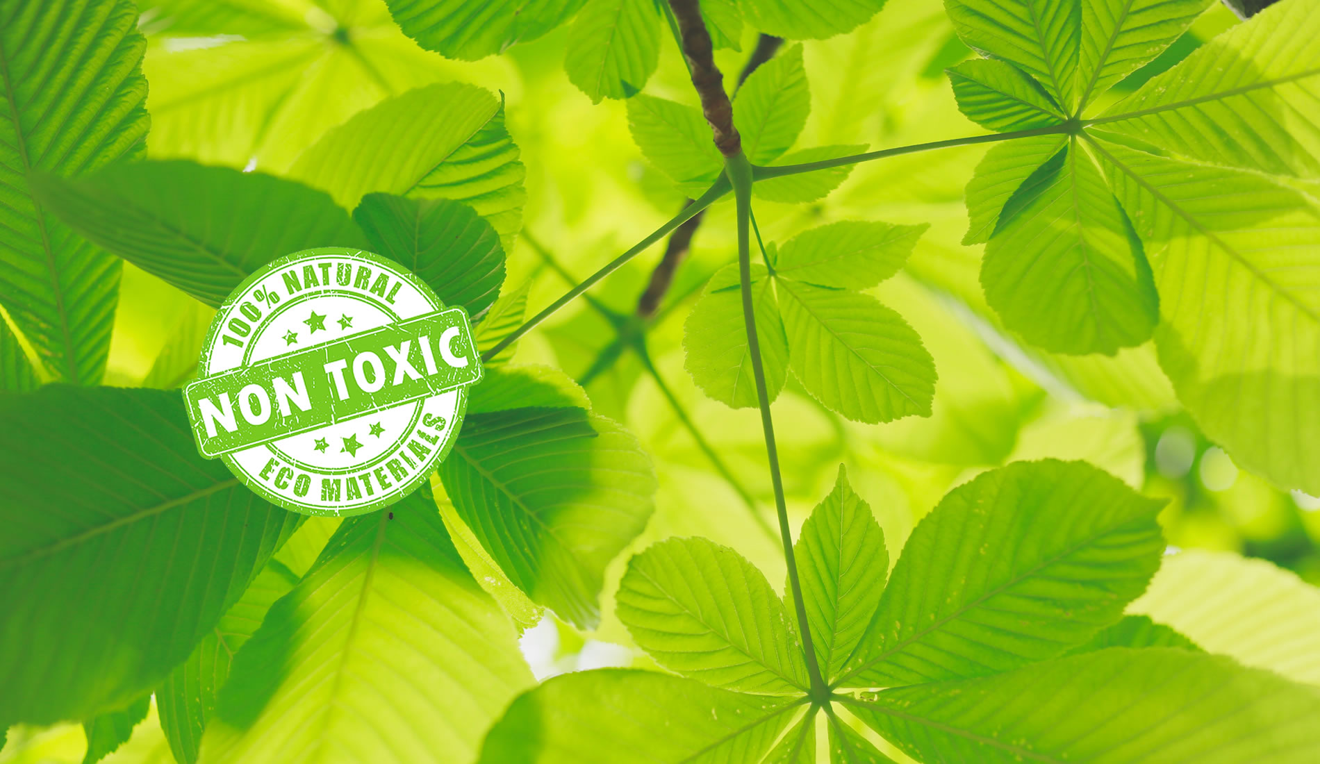 Green Cleaning - Building Maintenance Services in Marin County